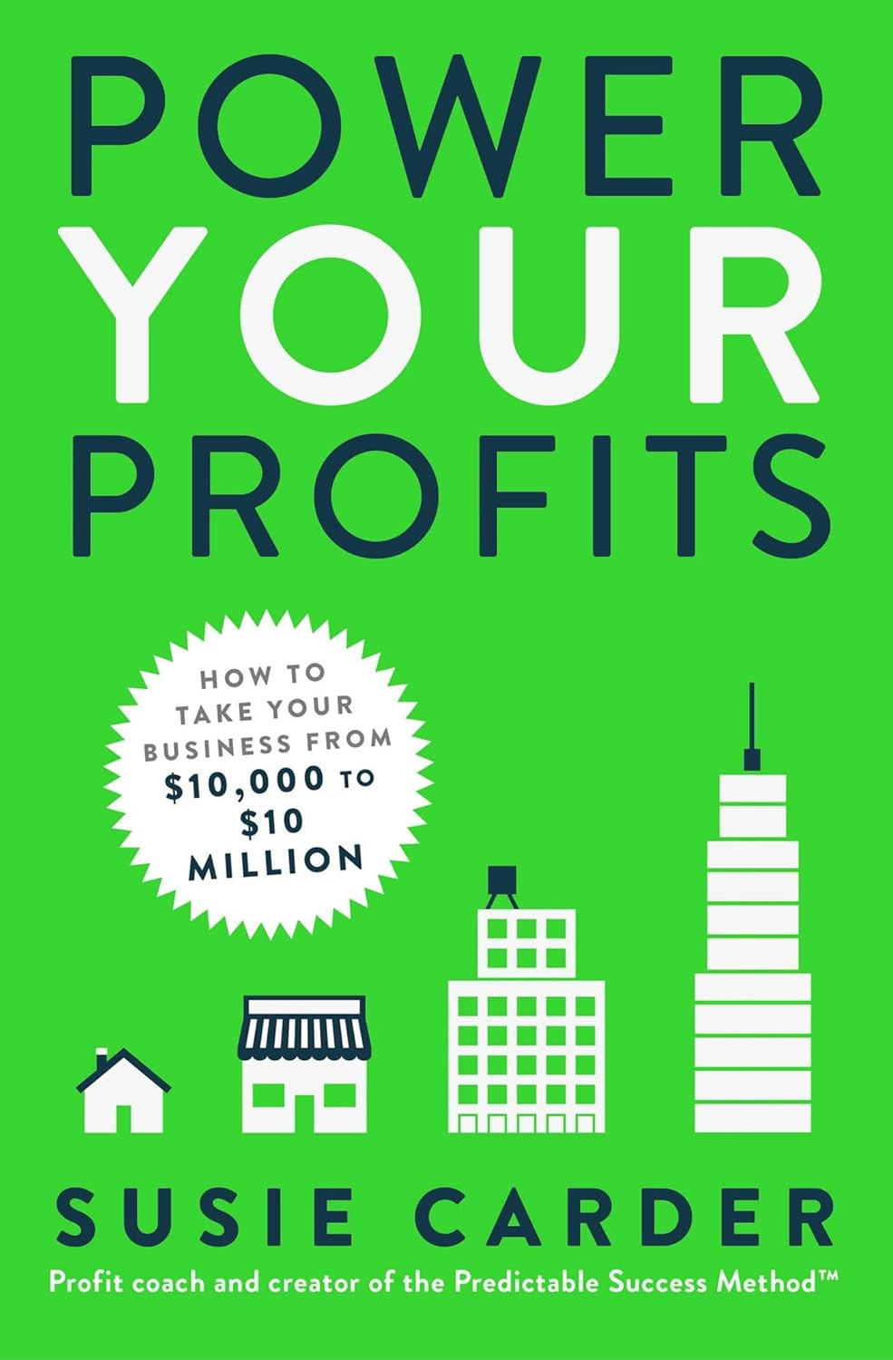 POWER YOUR PROFITS: HOW TO TAKE YOUR BUSINESS FROM 10,000 TO 10,000,000 ...
