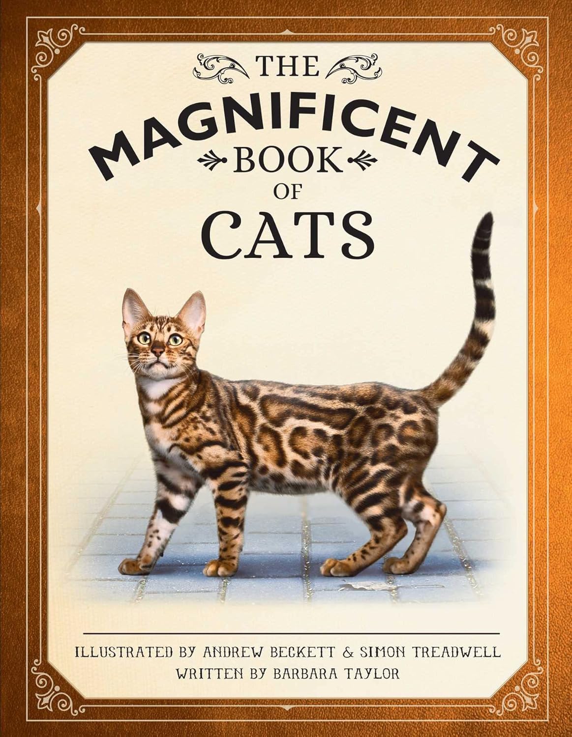 THE MAGNIFICENT BOOK OF CATS (HC) | ศูนย์หนังสือจุฬาฯ