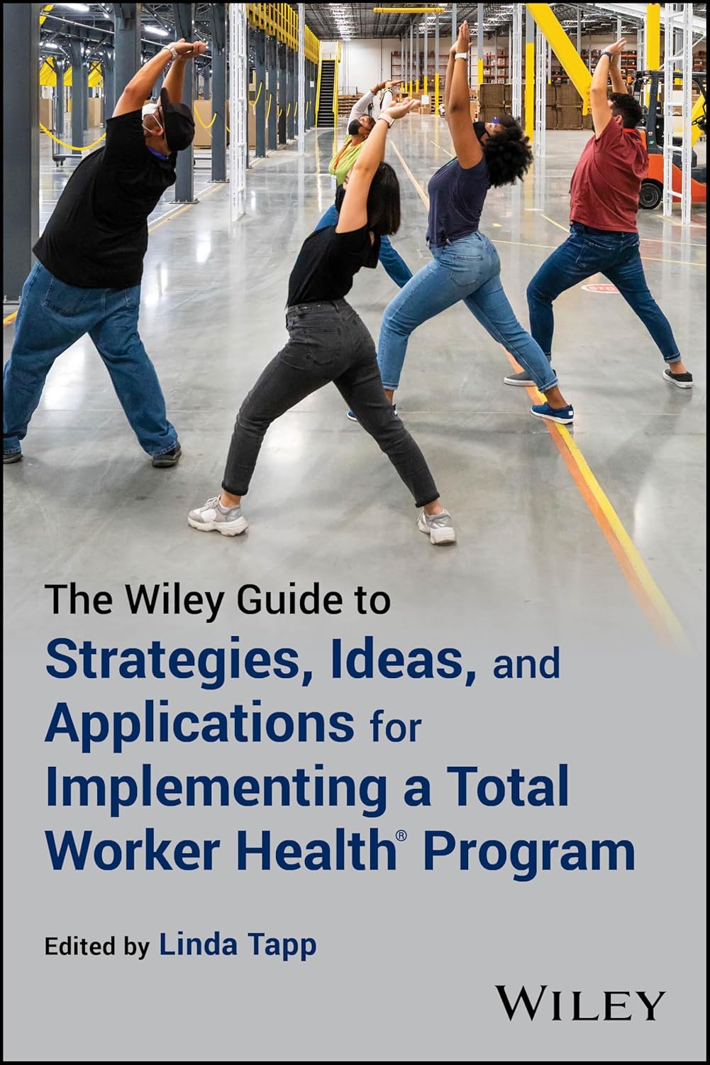 THE WILEY GUIDE TO STRATEGIES, IDEAS, AND APPLICATIONS FOR IMPLEMENTING ...