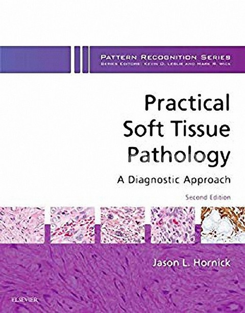 PRACTICAL SOFT TISSUE PATHOLOGY: A DIAGNOSTIC APPROACH: A VOLUME IN THE PATTERN RECOGNITION ...